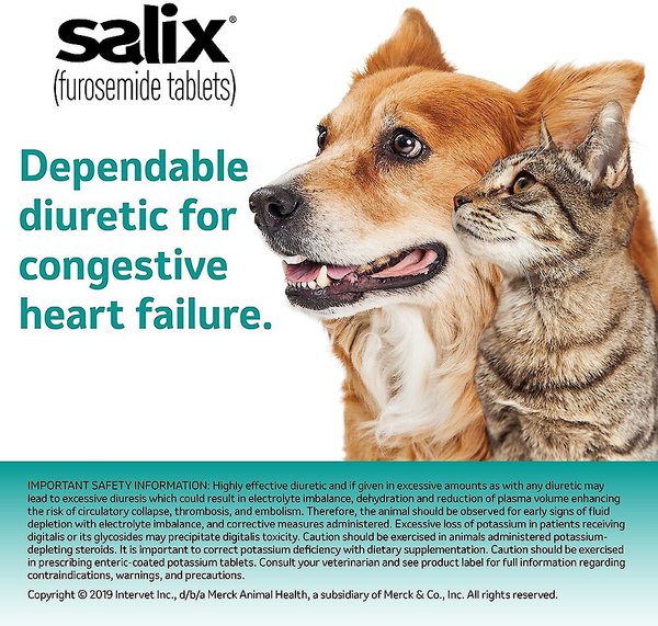 SALIX (Furosemide) Tablets for Dogs & Cats, 50-mg - Easy Refills | Chewy Rx
