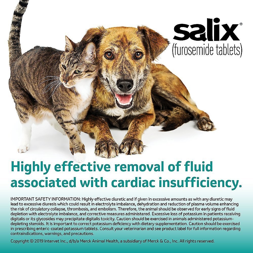 SALIX (Furosemide) Tablets for Dogs & Cats, 50-mg - Easy Refills | Chewy Rx