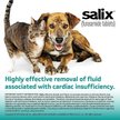 SALIX (Furosemide) Tablets for Dogs & Cats, 50-mg - Easy Refills | Chewy Rx