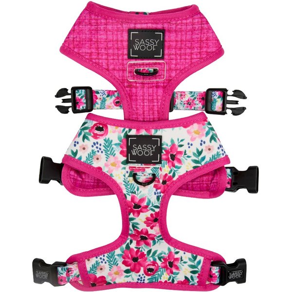 WILD ONE Adjustable Cushioned Dog Harness, Orchid, X-Small - Chewy.com