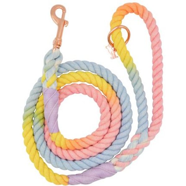 SASSY WOOF Rope Dog Leash, Cotton Candy - Chewy.com