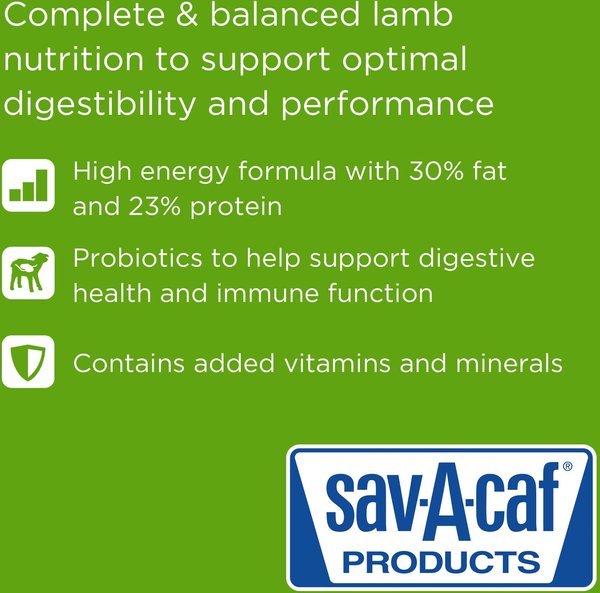 SAV-A-CAF Sav-A-Lam Lamb Milk Replacer Sheep Supplement, 25-lb bag ...