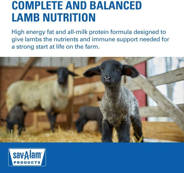 SAV-A-CAF Sav-A-Lam Lamb Milk Replacer Sheep Supplement, 25-lb bag ...