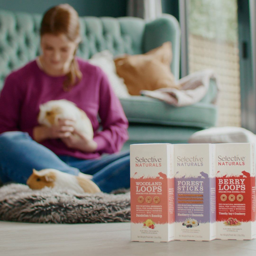 SCIENCE SELECTIVE Naturals Woodland Loops Guinea Pig Treats, 2.8-oz bag ...