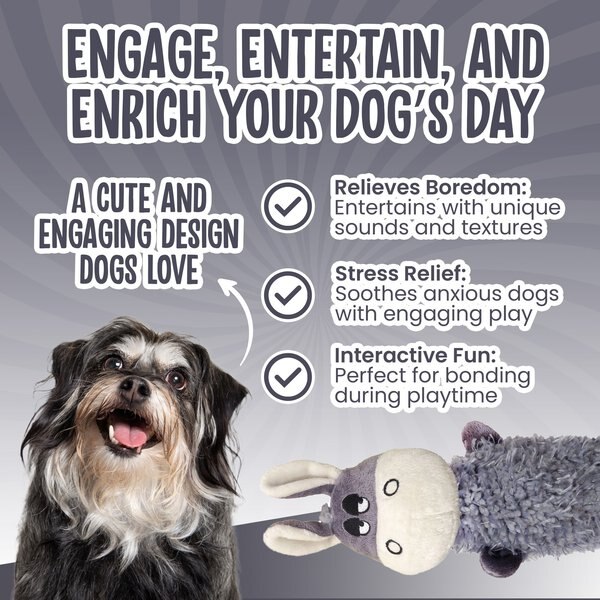 SCOOCHIE PET Debbie Donkey Water Bottle Dog Chew Toy, 11-in - Chewy.com