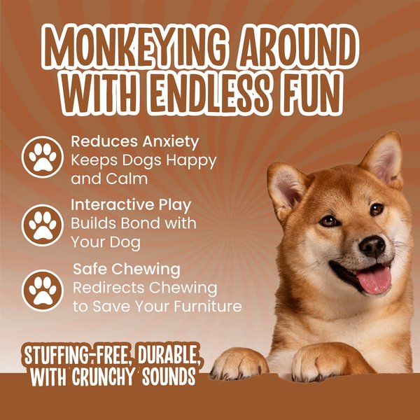 SCOOCHIE PET Missy Monkey Water Bottle Dog Chew Toy, 11-in - Chewy.com