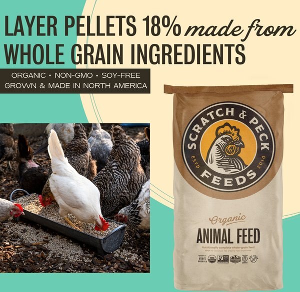 SCRATCH AND PECK FEEDS Organic 18% Protein Layer Pellets Chicken & Duck ...