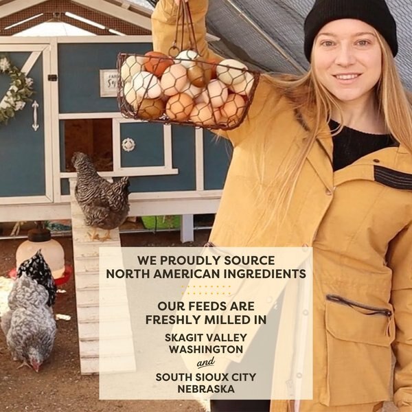 SCRATCH AND PECK FEEDS Organic Chicken & Duck Feed 16% Layer Crumbles ...