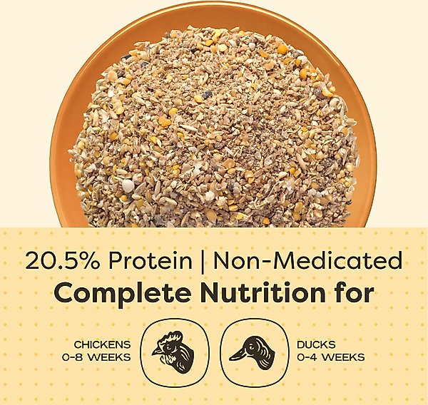 SCRATCH AND PECK FEEDS Organic Chicken & Duck Feed 20.5% Starter Mash ...