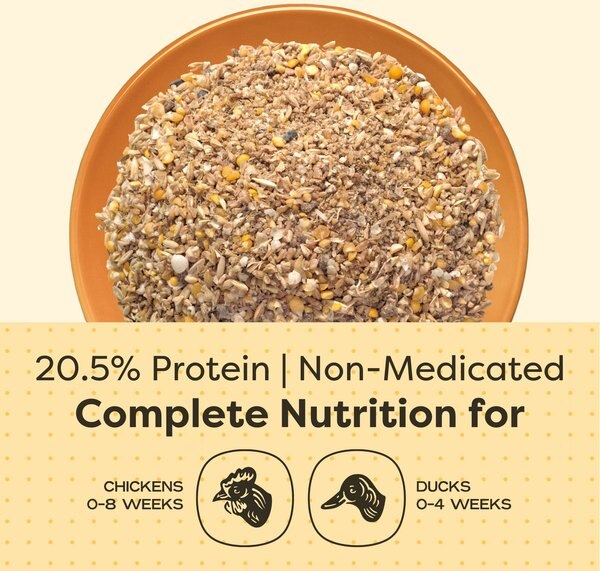 SCRATCH AND PECK FEEDS Organic Chicken & Duck Feed 20.5% Starter Mash ...