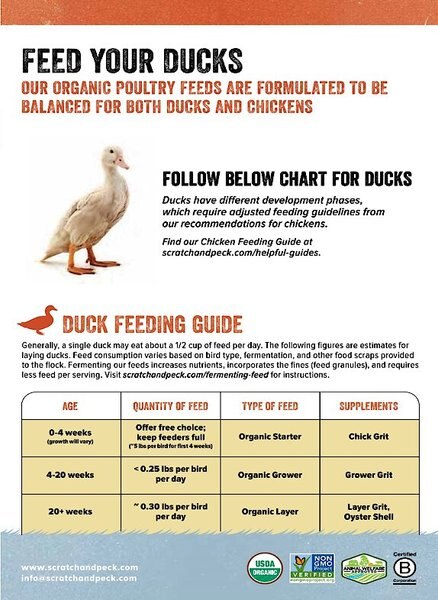 SCRATCH AND PECK FEEDS Organic Chicken & Duck Feed 20.5% Starter Mash ...