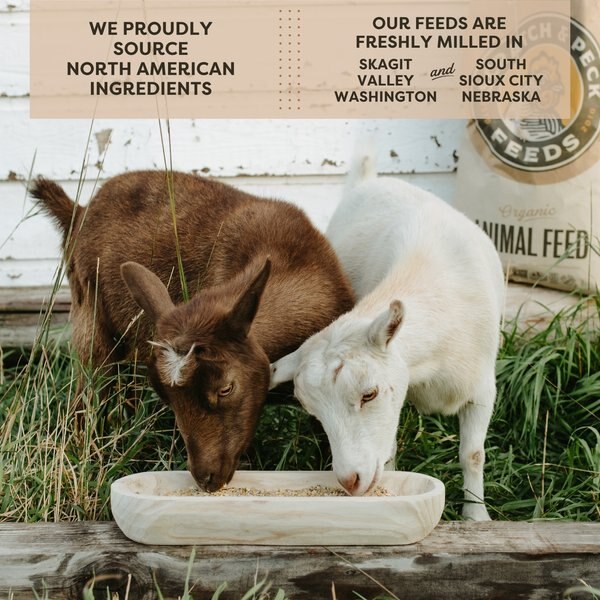 SCRATCH AND PECK FEEDS Organic Goat Feed Whole Grain Mash, 40-lb bag ...