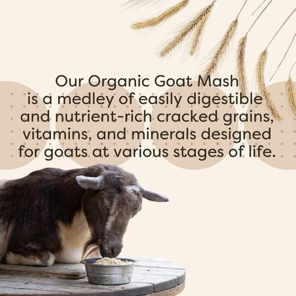 SCRATCH AND PECK FEEDS Organic Goat Feed Whole Grain Mash, 40-lb bag ...