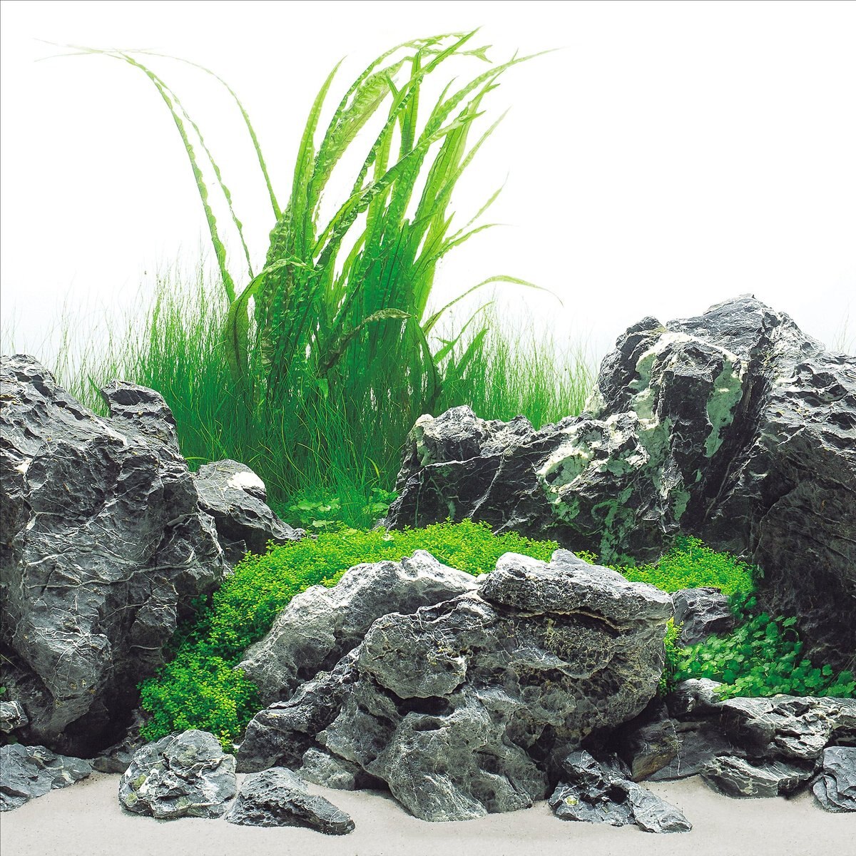 SEAVIEW Aquascape Reversible Background Aquarium Accessory, Greenspike ...