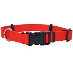 SECUREAWAY Dog Flea Collar Protector, Blue Paws, X-Small: 8 to 12-in ...