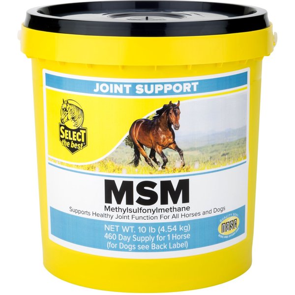 SELECT THE BEST MSM Powder Horse Joint Supplement, 10-lb bucket - Chewy.com