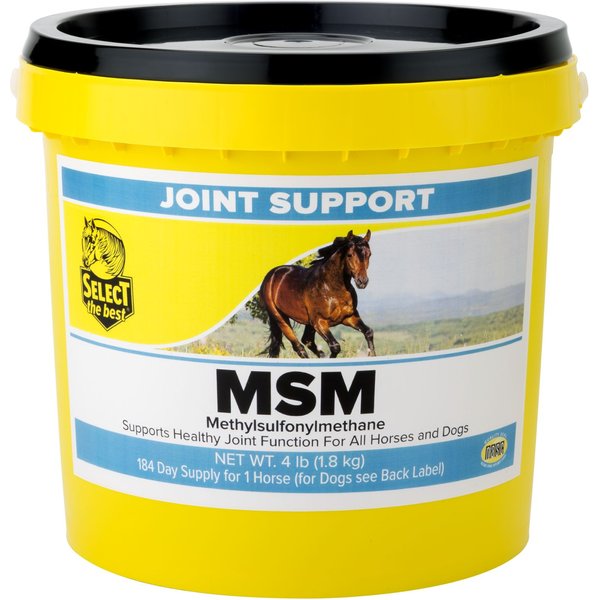 ANIMED Pure MSM Joint Support Powder Horse Supplement, 5-lb tub - Chewy.com