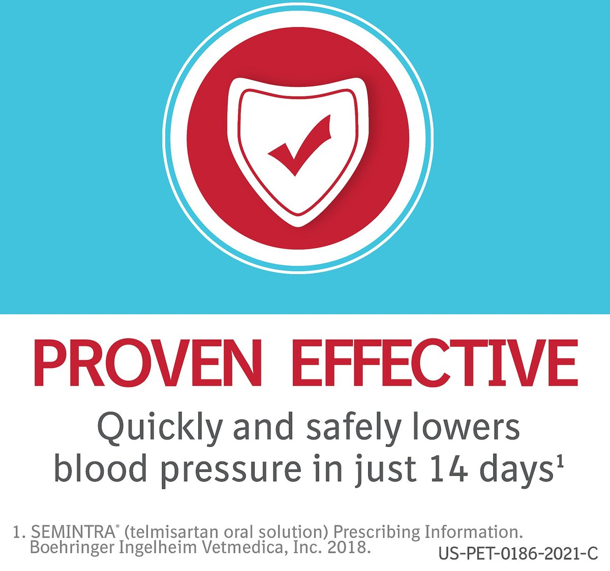 Out of Stock - SEMINTRA (telmisartan) Oral Solution for Cats, 10 mg/mL ...