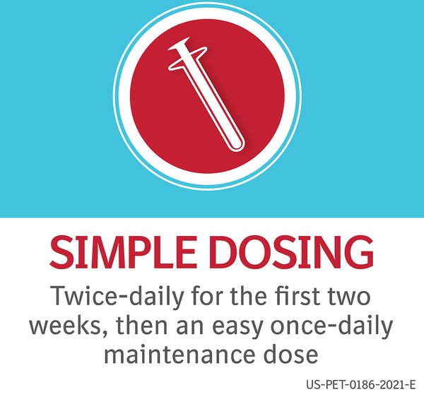 Out of Stock - SEMINTRA (telmisartan) Oral Solution for Cats, 10 mg/mL ...