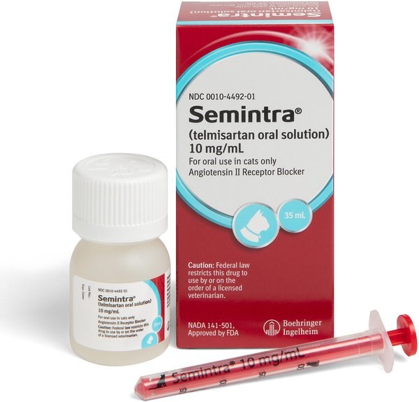 Out of Stock - SEMINTRA (telmisartan) Oral Solution for Cats, 10 mg/mL ...