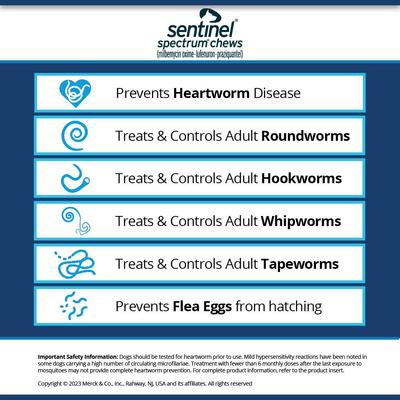 SENTINEL SPECTRUM Chew for Dogs, 50.1-100 lbs, (Blue Box) - Easy ...