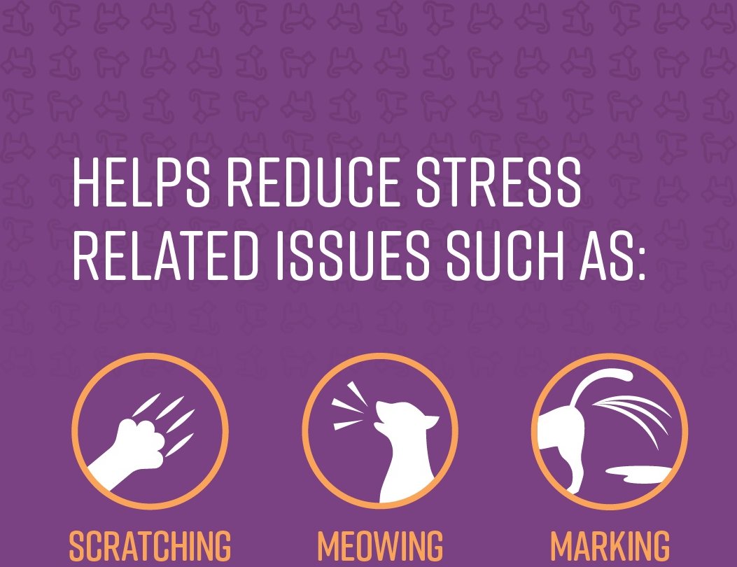 SENTRY Behavior Portable Calming Diffuser for Cats - Chewy.com