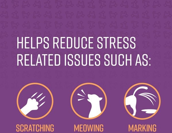 SENTRY Behavior Portable Calming Diffuser for Cats - Chewy.com