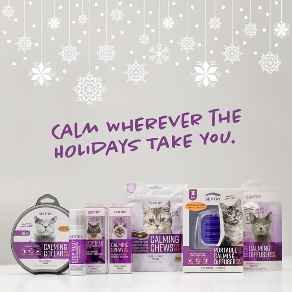 SENTRY Calming Chews Supplement for Cats, 4-oz bag - Chewy.com