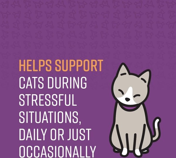 SENTRY Calming Chews Supplement for Cats, 4-oz bag - Chewy.com