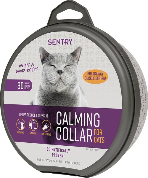 Brandclub - Sentry Good Behavior Calming Collar for Cats, up to 15-in ...