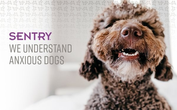 SENTRY Good Behavior Chicken Flavored Soft Chew Calming Supplement for ...