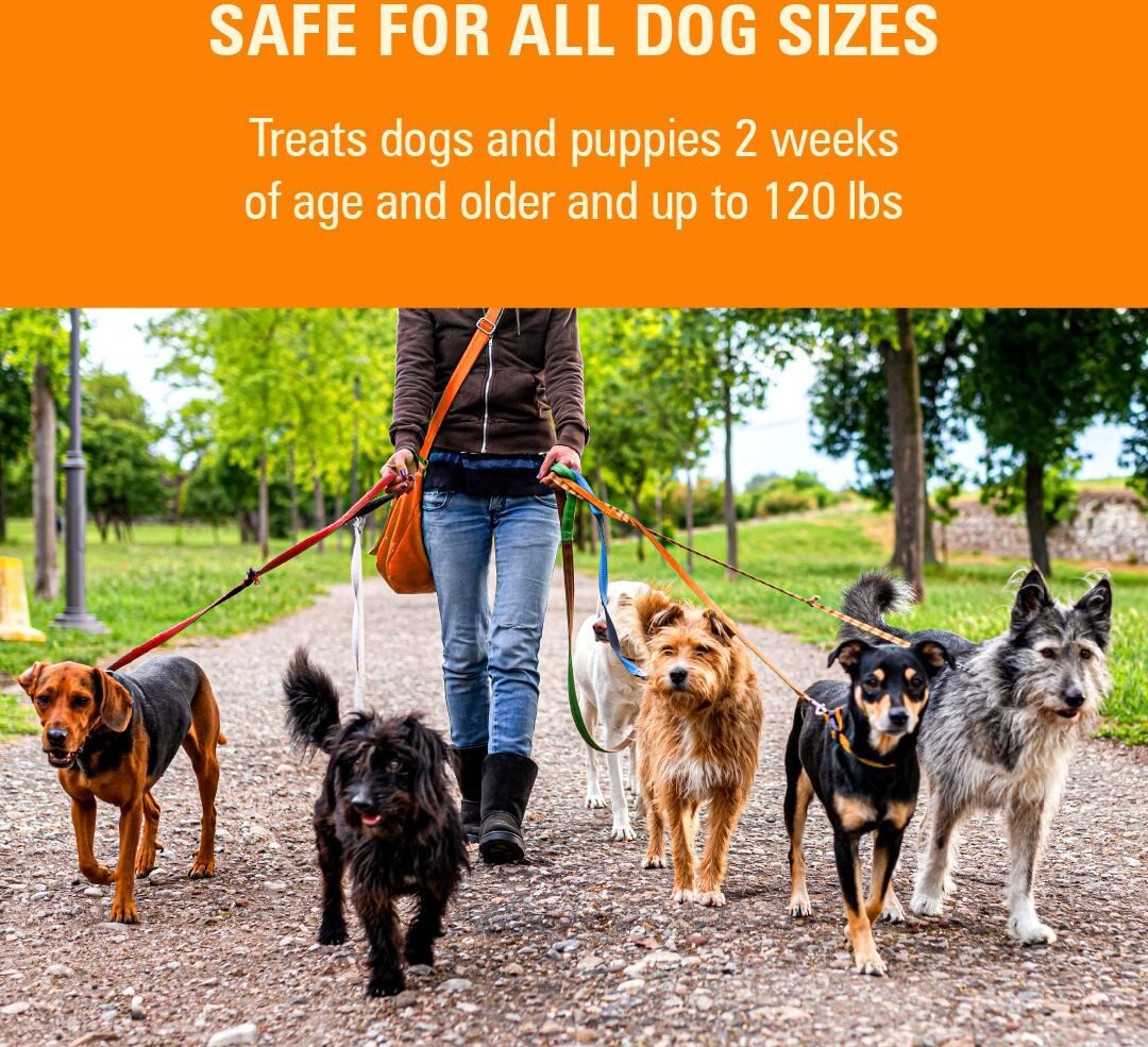 SENTRY HC WormX DS Dewormer for Hookworms & Roundworms for Dogs, 2-fl ...