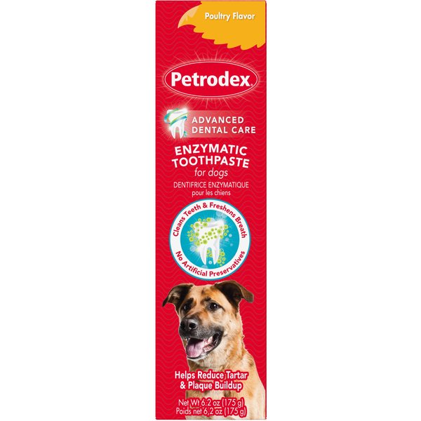 10 Best Dog Toothpastes 2026: According to Reviews | Chewy