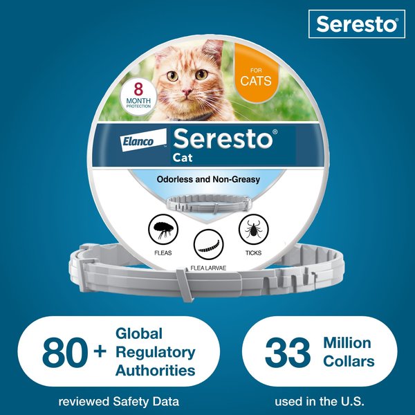 SERESTO Flea & Tick Collar for Cats, 2 Collars (16-mos. supply) - Chewy.com