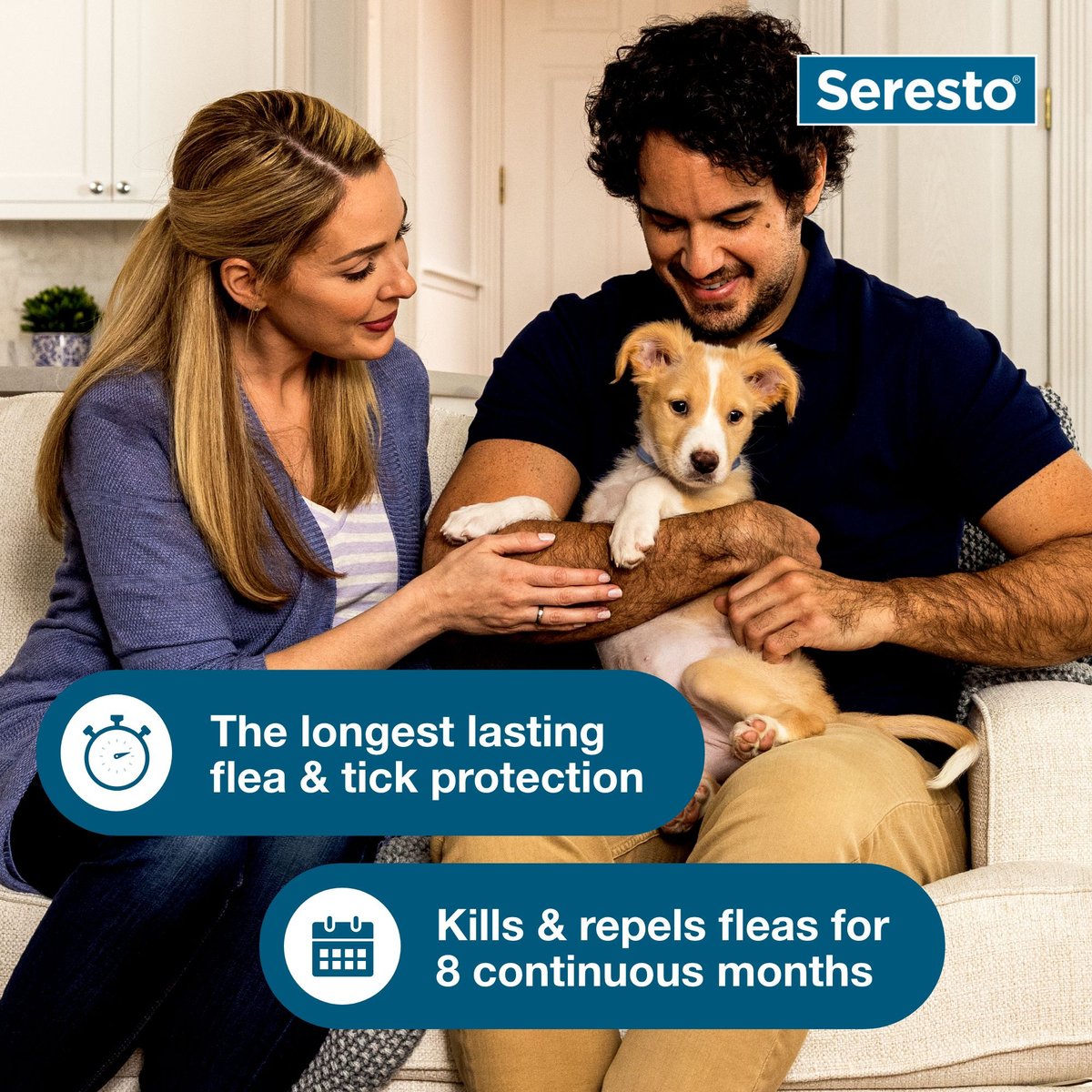 SERESTO Flea & Tick Collar for Dogs, up to 18-lbs, 1 Collar (8-mos ...