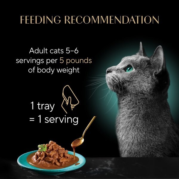 SHEBA Gravy Indulgence Beef Entree in Extra Gravy Grain-Free Adult Wet ...