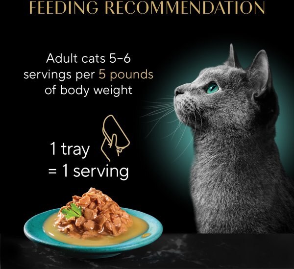 SHEBA Gravy Indulgence Chicken & Beef in Extra Gravy Variety Pack Grain ...