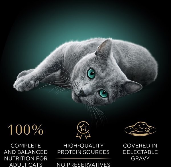 SHEBA Gravy Indulgence Chicken & Beef in Extra Gravy Variety Pack Grain ...