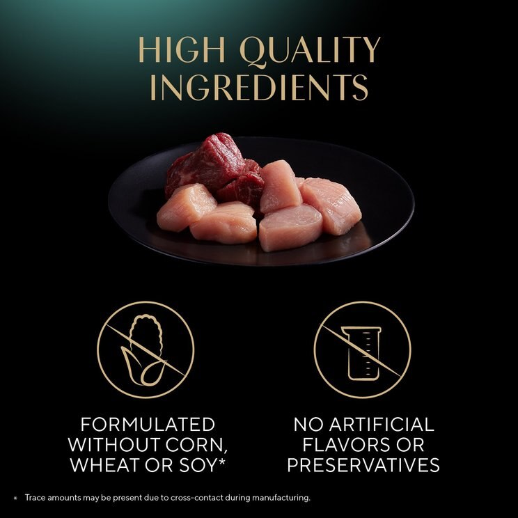 SHEBA PATE CAT FOOD (Free Shipping) | Chewy