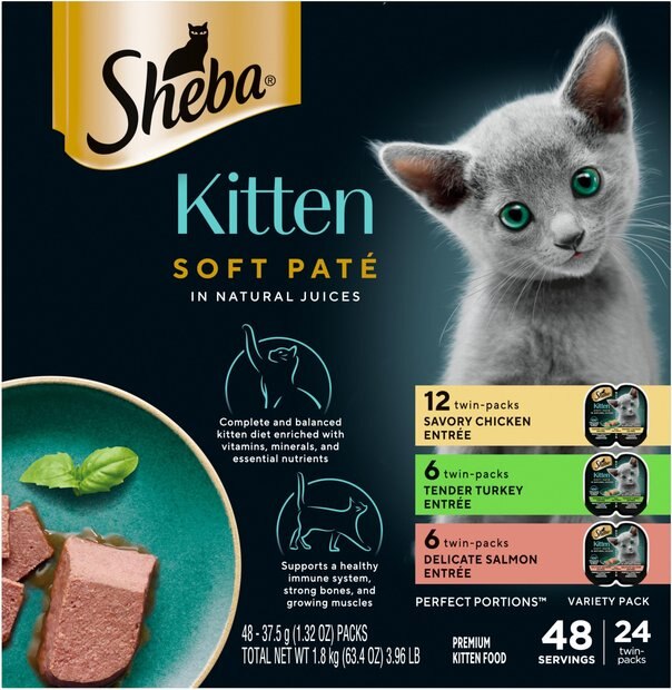 SHEBA WET CAT FOOD (Free Shipping) | Chewy