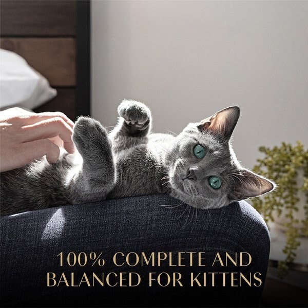 SHEBA Perfect Portions Kitten Chicken, Salmon & Turkey Variety Pack ...