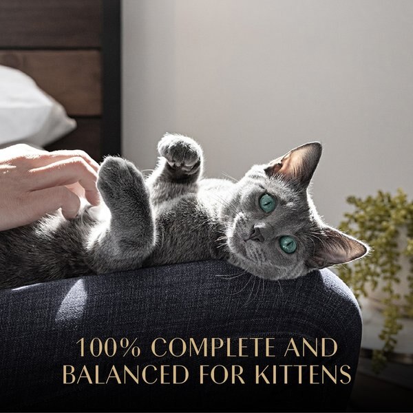 SHEBA Perfect Portions Kitten Variety Pack Chicken Pate & Pate Salmon ...