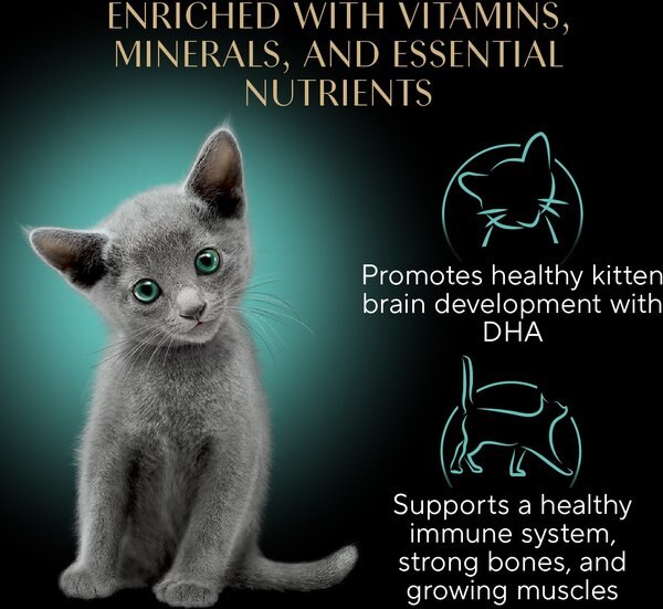 SHEBA Perfect Portions Kitten Variety Pack Chicken Pate & Pate Salmon ...