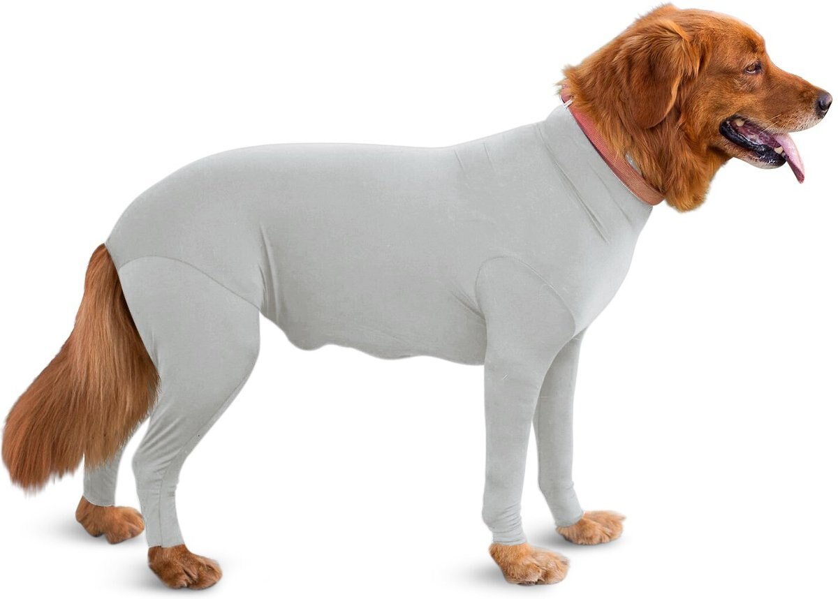 SHED DEFENDER Original Dog Onesie, Heather Grey, Mini - Chewy.com