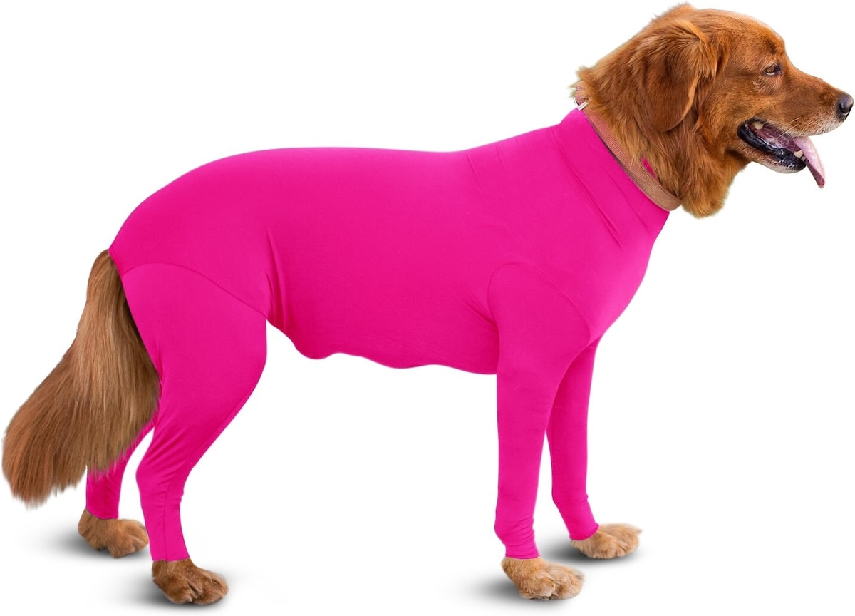 SHED DEFENDER Original Dog Onesie, Hot Pink, Giant - Chewy.com