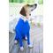 SHED DEFENDER Original Dog Onesie, Royal Blue, Medium - Chewy.com