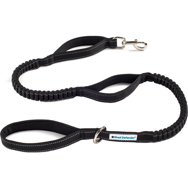Double Handle Dog Leashes (Free Shipping) | Chewy