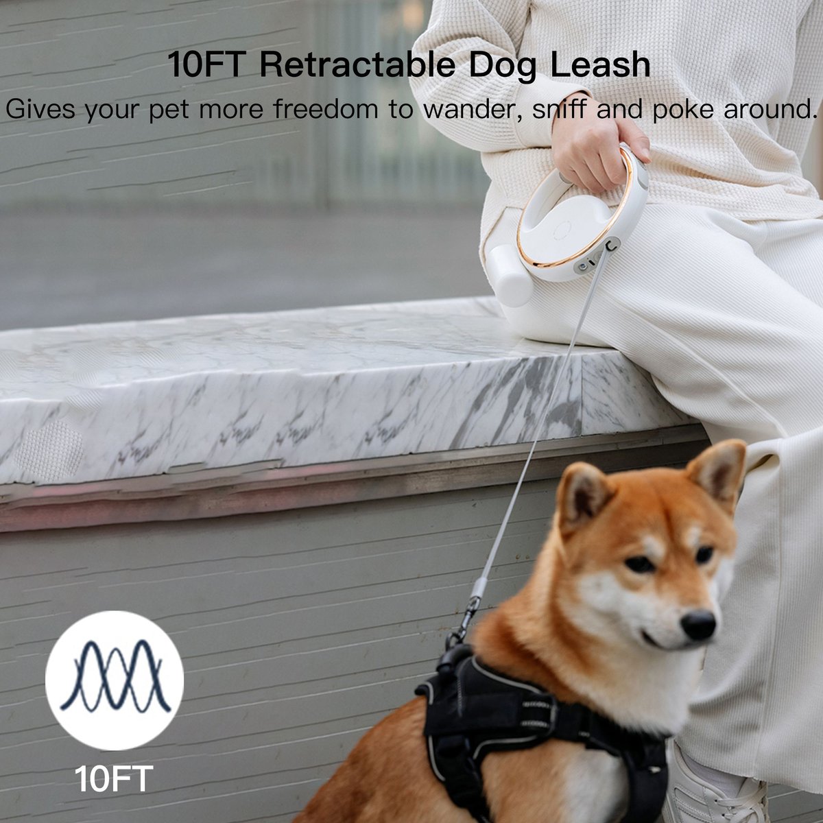 SHELE Retractable Anti-Slip Handle & LED Light Nylon Telescopic ...