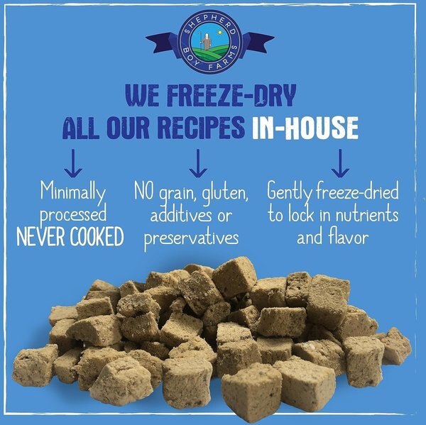 SHEPHERD BOY FARMS Alligator Recipe Freeze-Dried Dog Food, 14-oz bag ...