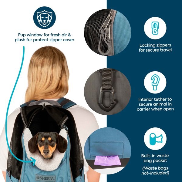 SHERPA Elevation Backpack Dog & Cat Carrier, Blue, Medium - Chewy.com